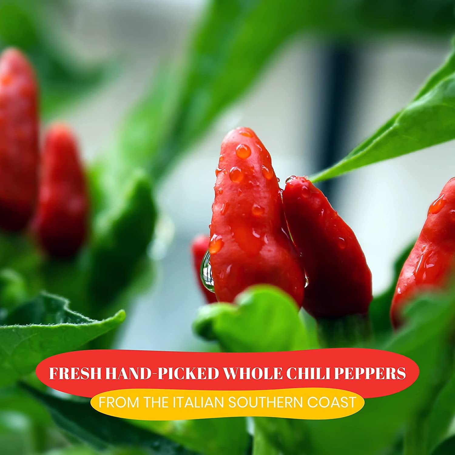 Calabrian Chili Peppers 9.8 oz - Grown and Packed in Calabria Italy ...