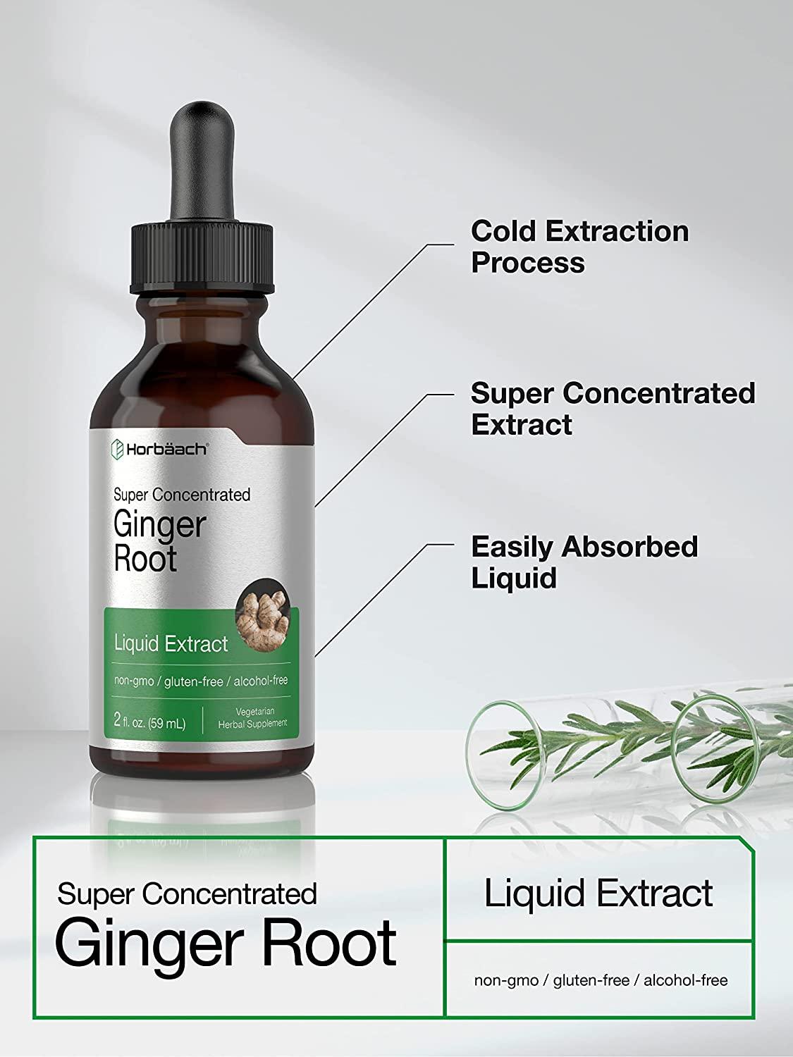 Ginger Root Extract 2 oz | Alcohol-Free Super Concentrated Liquid ...
