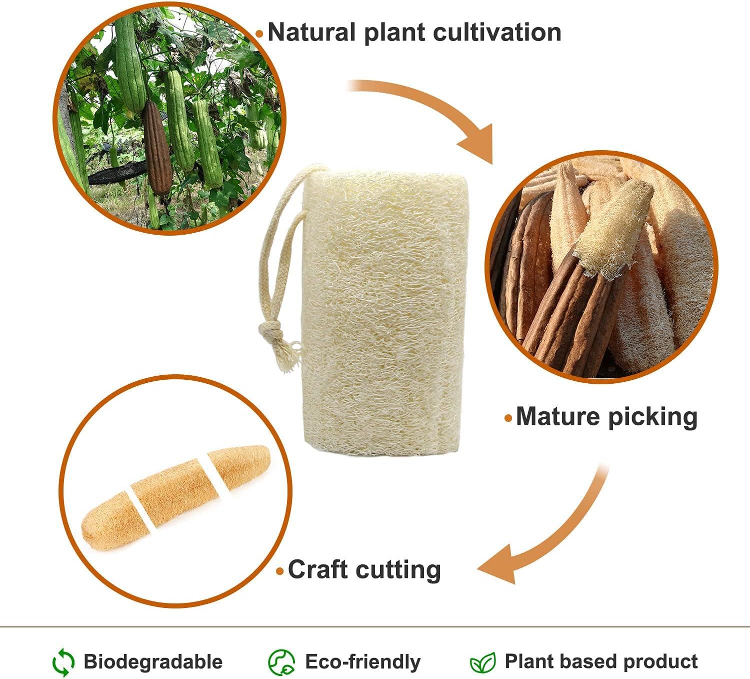 UOPTY Shower Natural Loofah Bath Sponge Exfoliating Body Luffa for ...