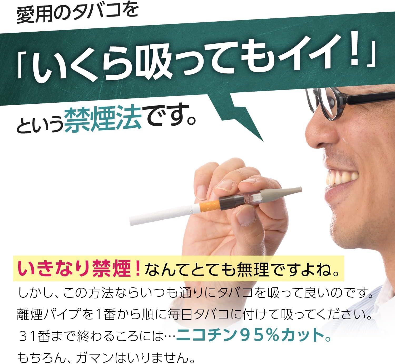 Rien Pipe GR: 31-Day Kit to Reduce Nicotine Content and Quit Smoking ...