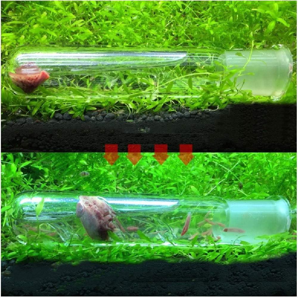 YYWEi 3 PCS Planaria Trap Clear Crystal Glass Worm Catch Pen Shrimp ...