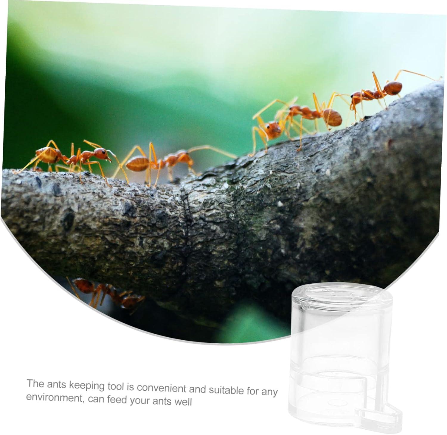 Minkissy Pet Water Ant House - Ant Farming Castle & Habitat Kit for ...