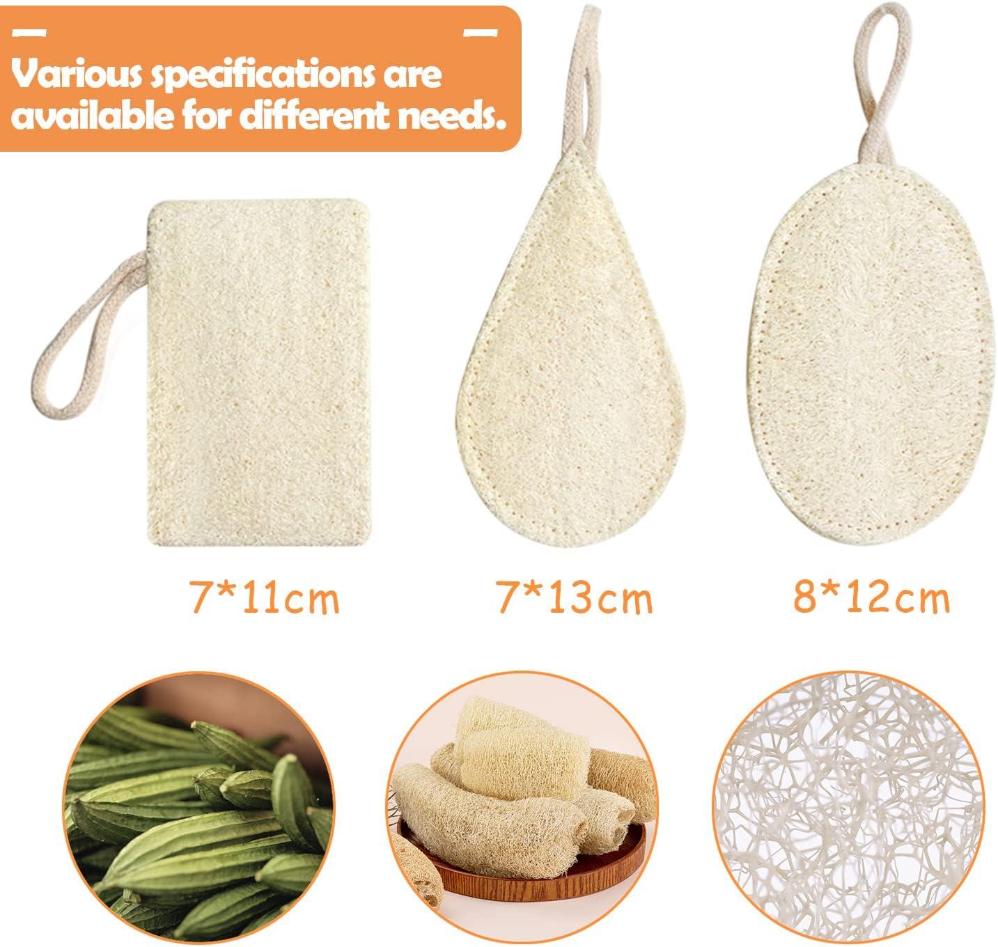 Buy 3 Pack Natural Luffa Sponge - Eco-Friendly & Biodegradable Body ...