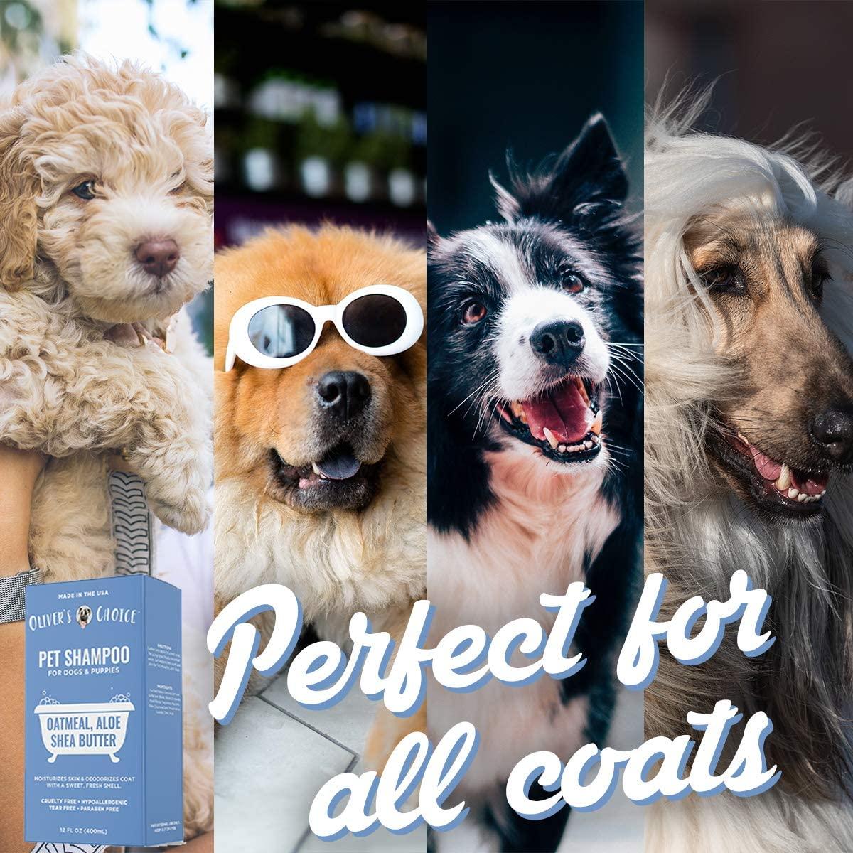 Dog Shampoo with Oatmeal and Aloe. Shea Butter for Smelly Dogs, Puppy ...