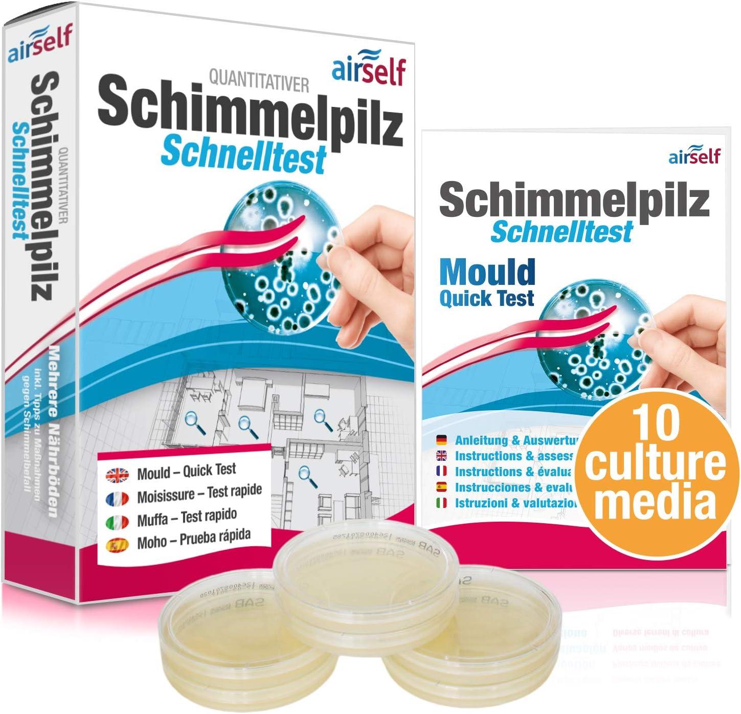 10 Piece Mold Test Kit for Home - Rapid Assessment for Up to 10 Rooms ...