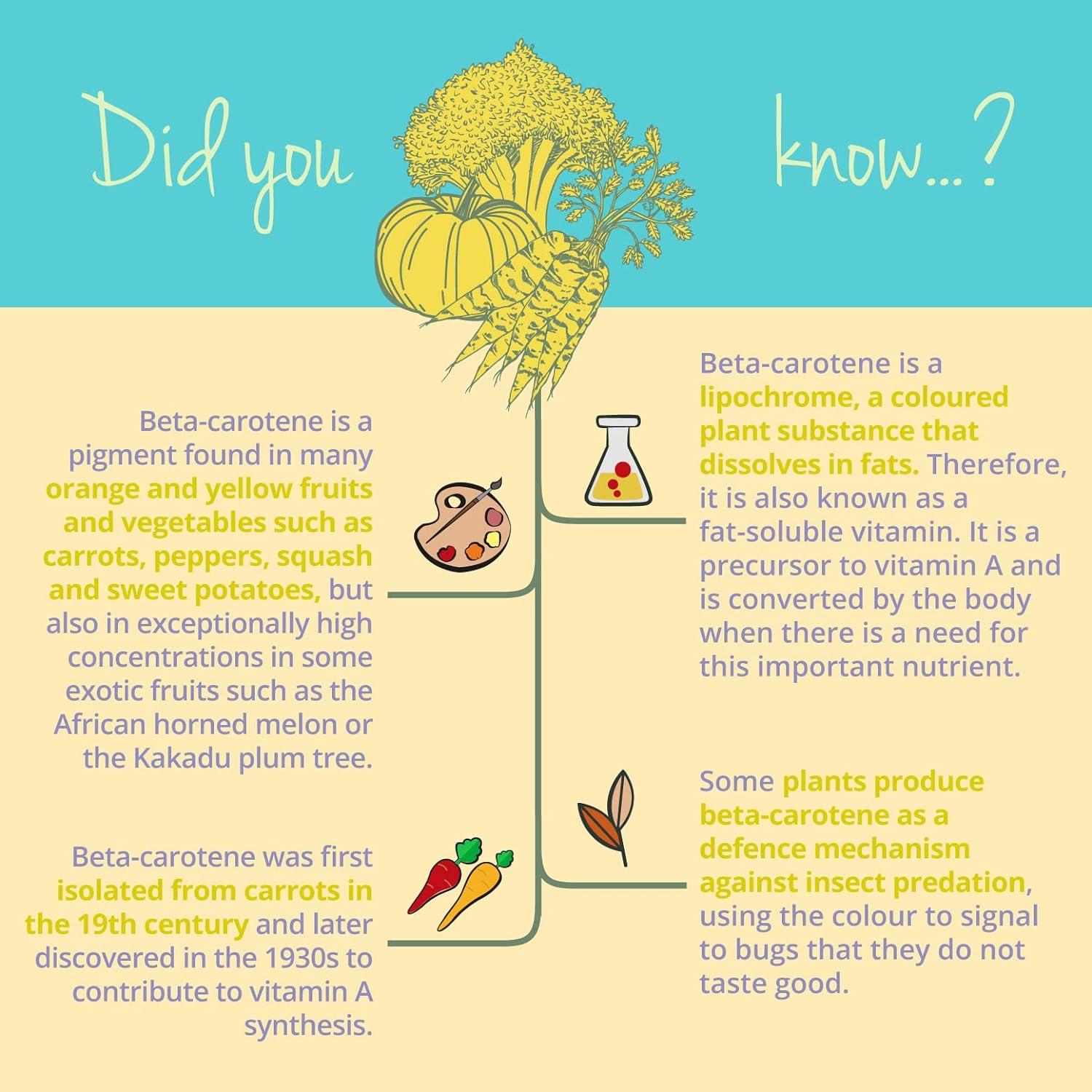 Vegavero Beta Carotene Supplement with Vitamin E & Astaxanthin for ...