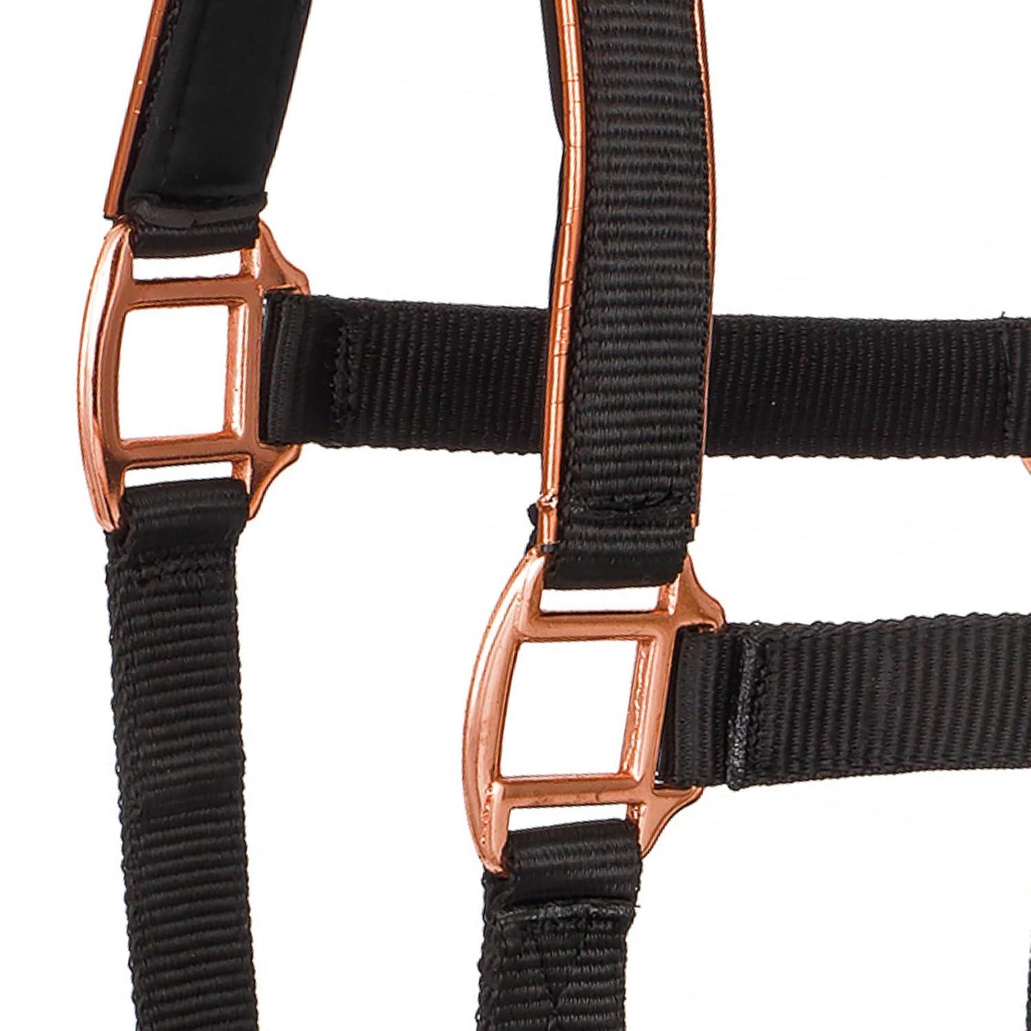 Premium Neoprene Halter for Thoroughbred & Warmblood Horses ...