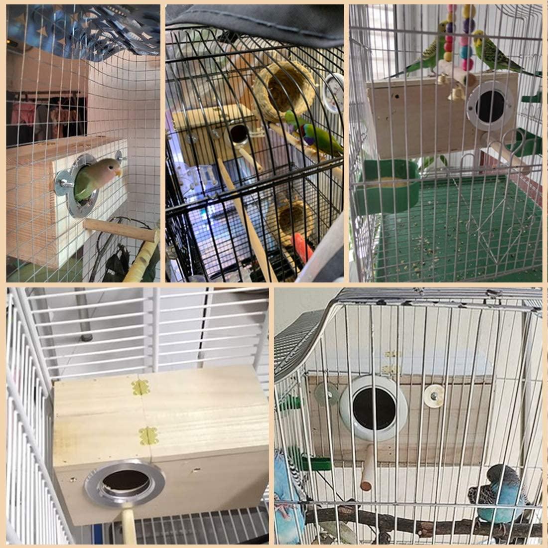 Budgie Nest