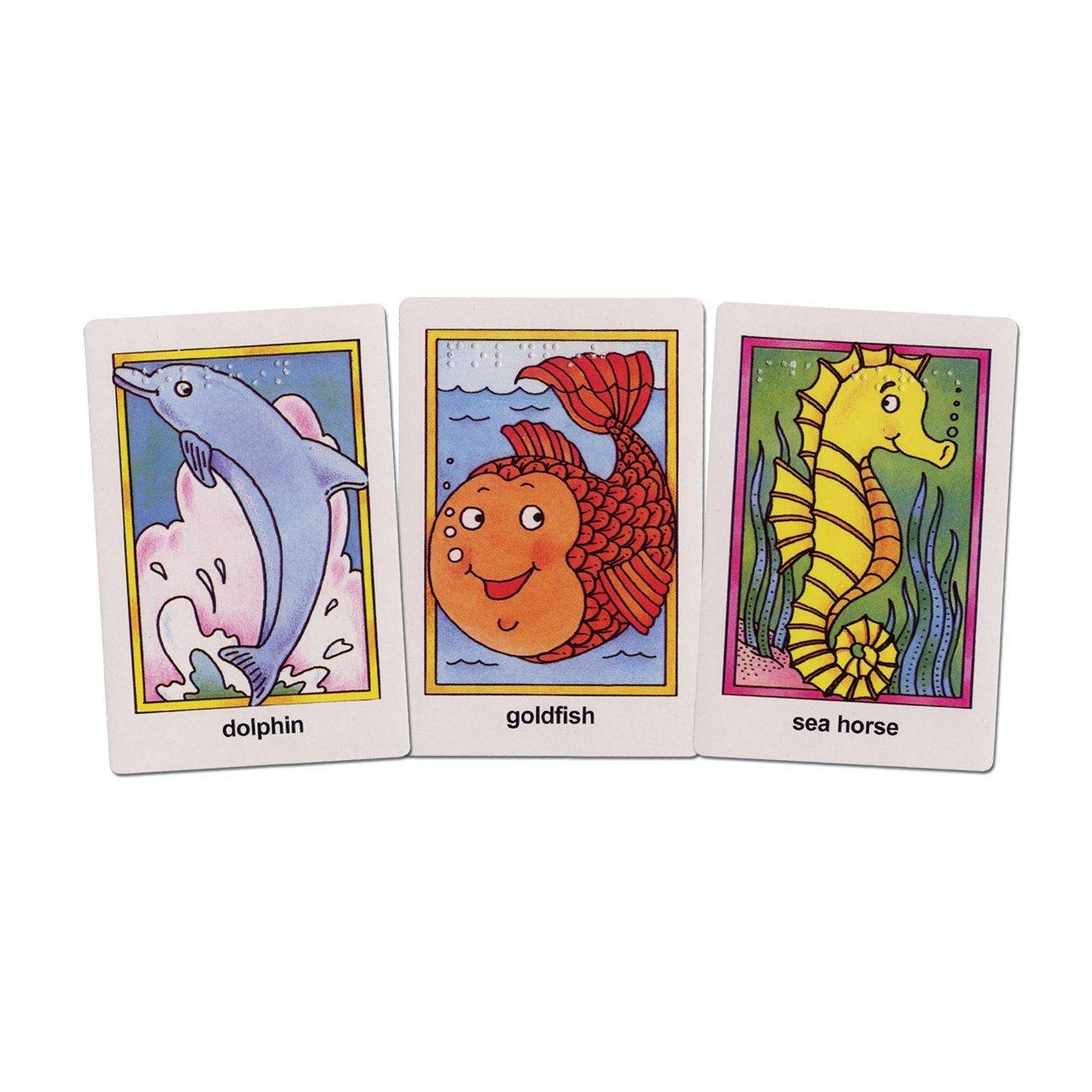Braille Go Fish Flash Cards: Fun and Educational Learning Tool | Buy ...
