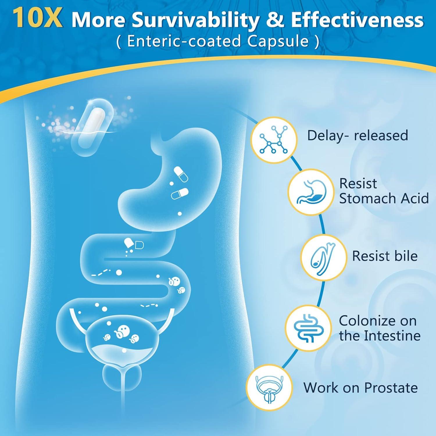 NATURE TARGET Probiotics for Men Digestive Health with Enzymes ...