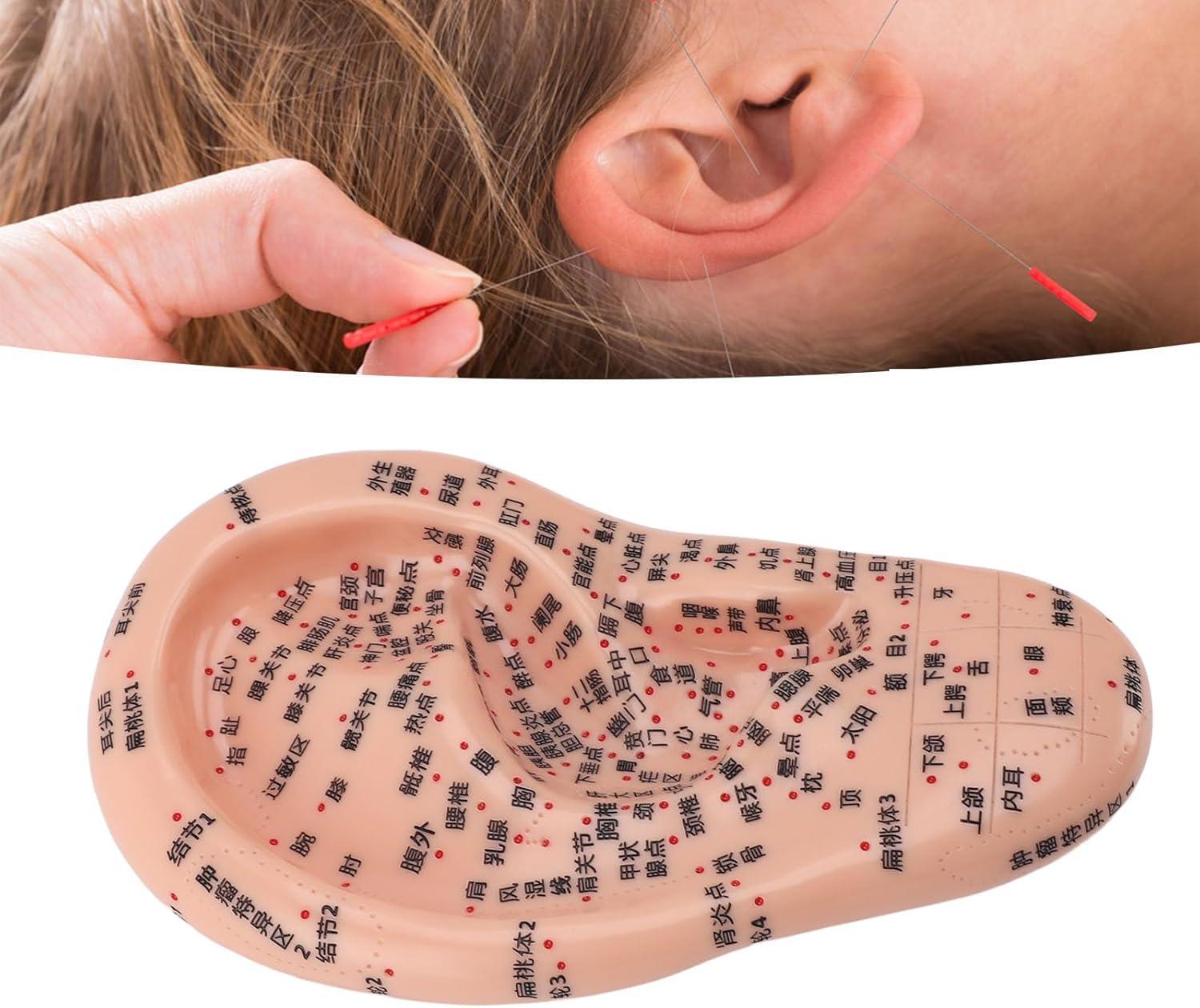 Professional Ear Acupuncture Model - 7.5 Flexible Human Ear for Lessons ...