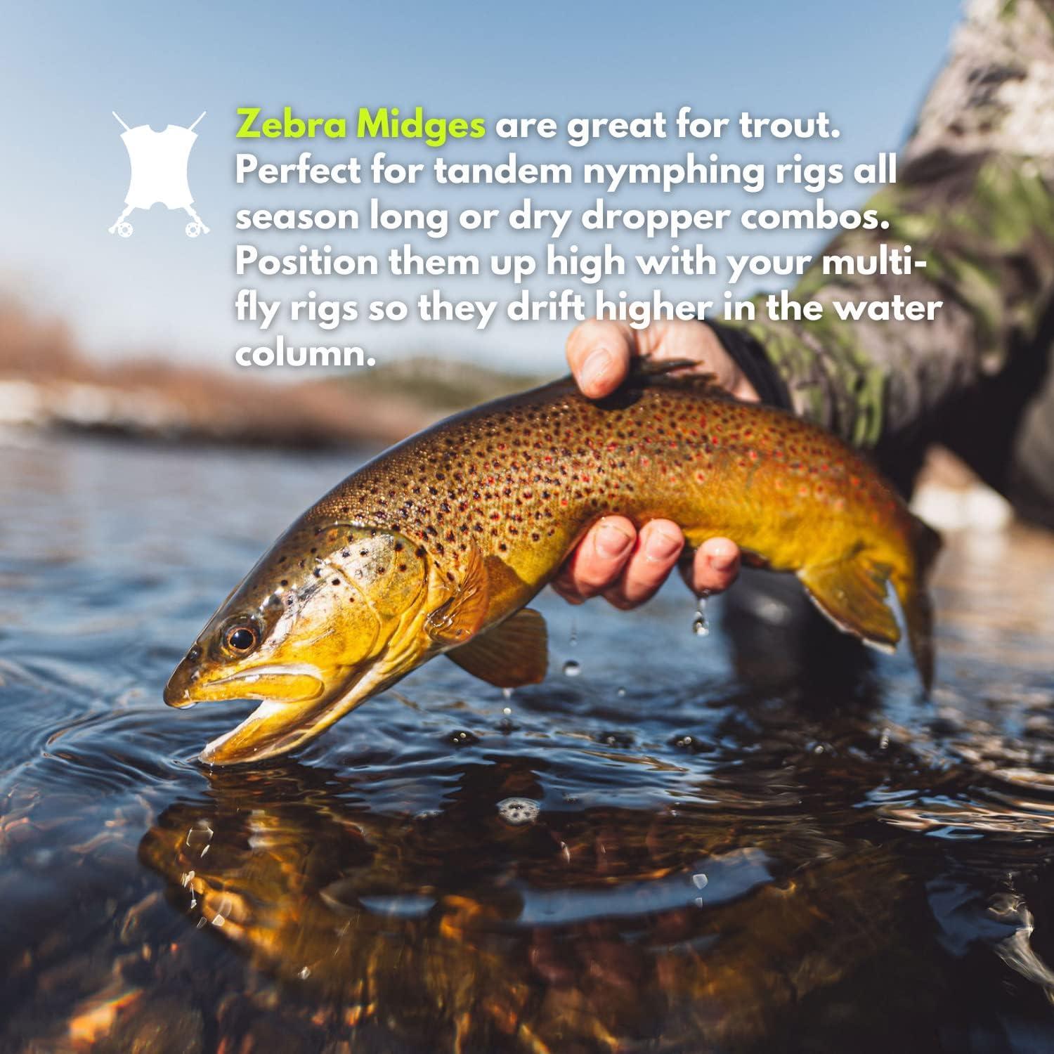 The Fly Crate Zebra Midge Nymph Assortment - 18 Trout Fly Fishing ...