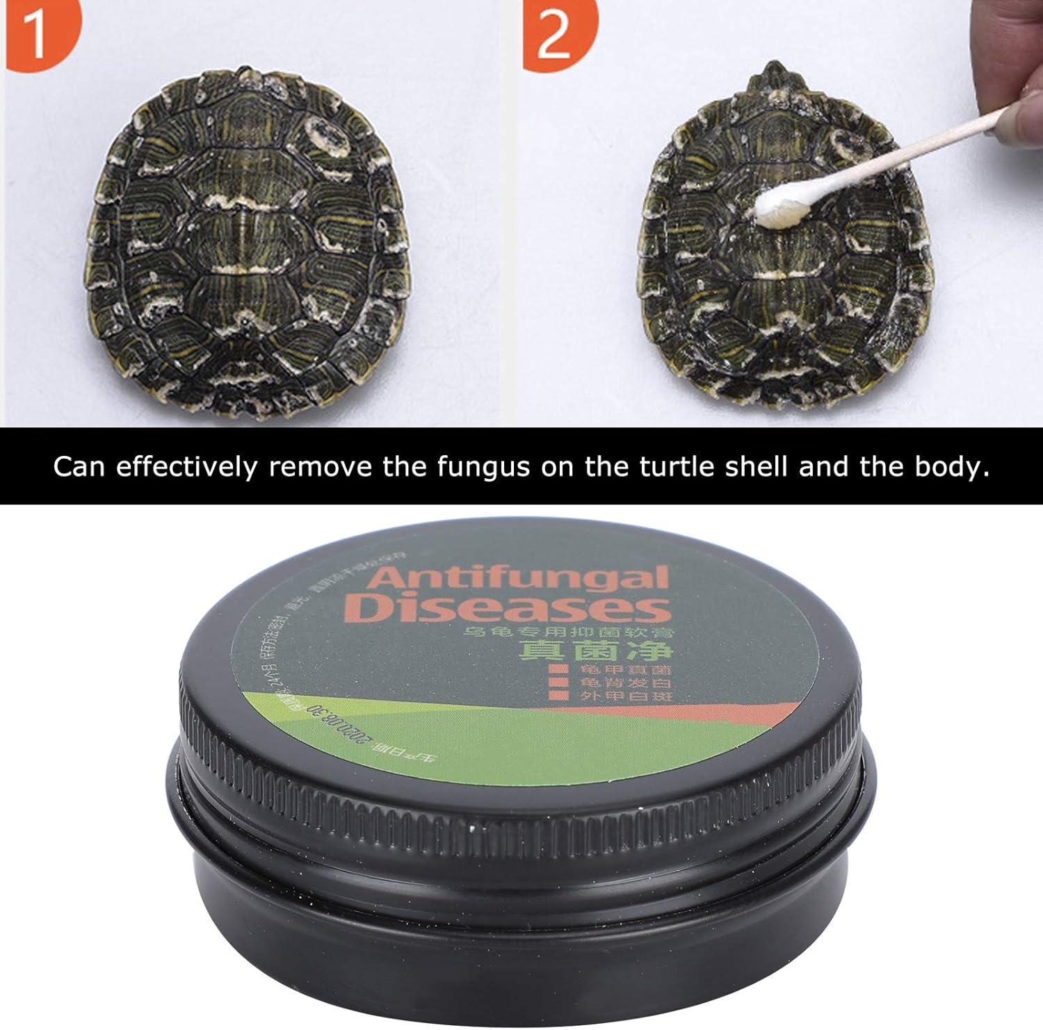 Turtle Shell Saver Moisturizer | Antifungal Cream for Turtle Care ...