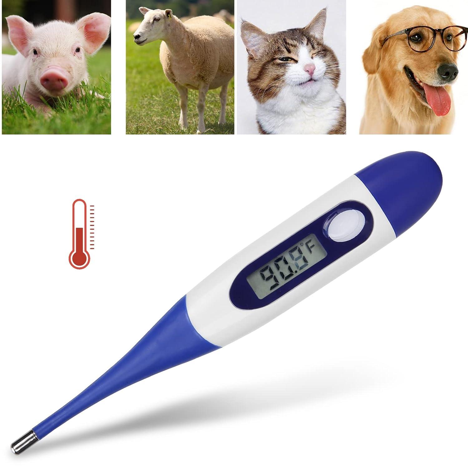 Professional Livestock Thermometer - Portable Veterinary Temperature ...