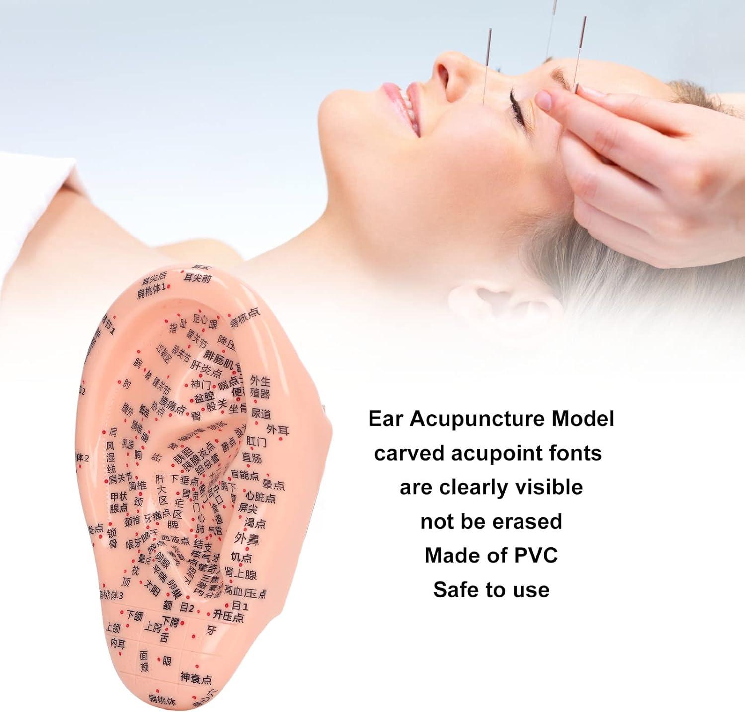 Silicone Ear Acupuncture Model for Laboratory Study | International ...