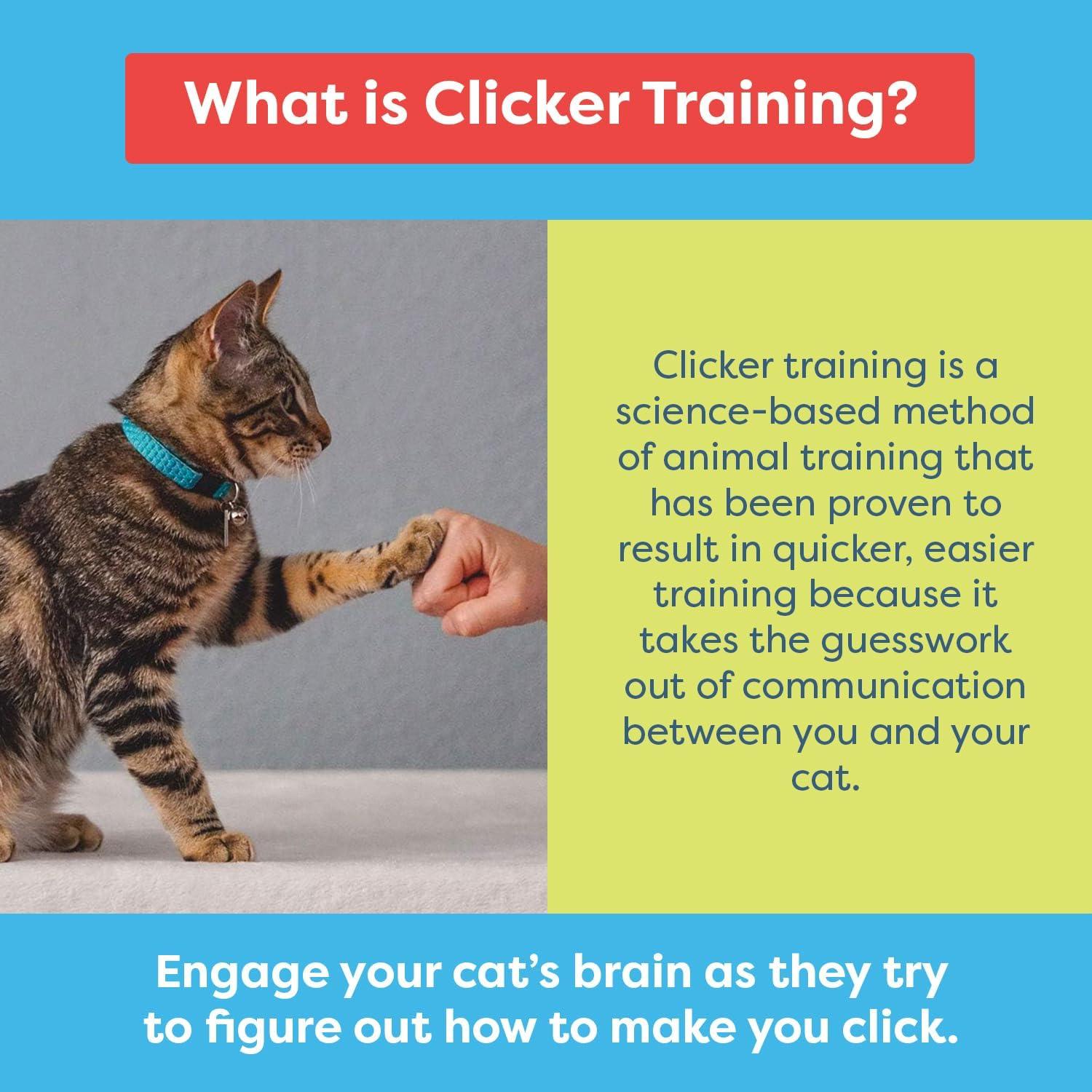 CAT SCHOOL Clicker Training Kit - 1 Cat Training Clicker 1 Target Stick ...