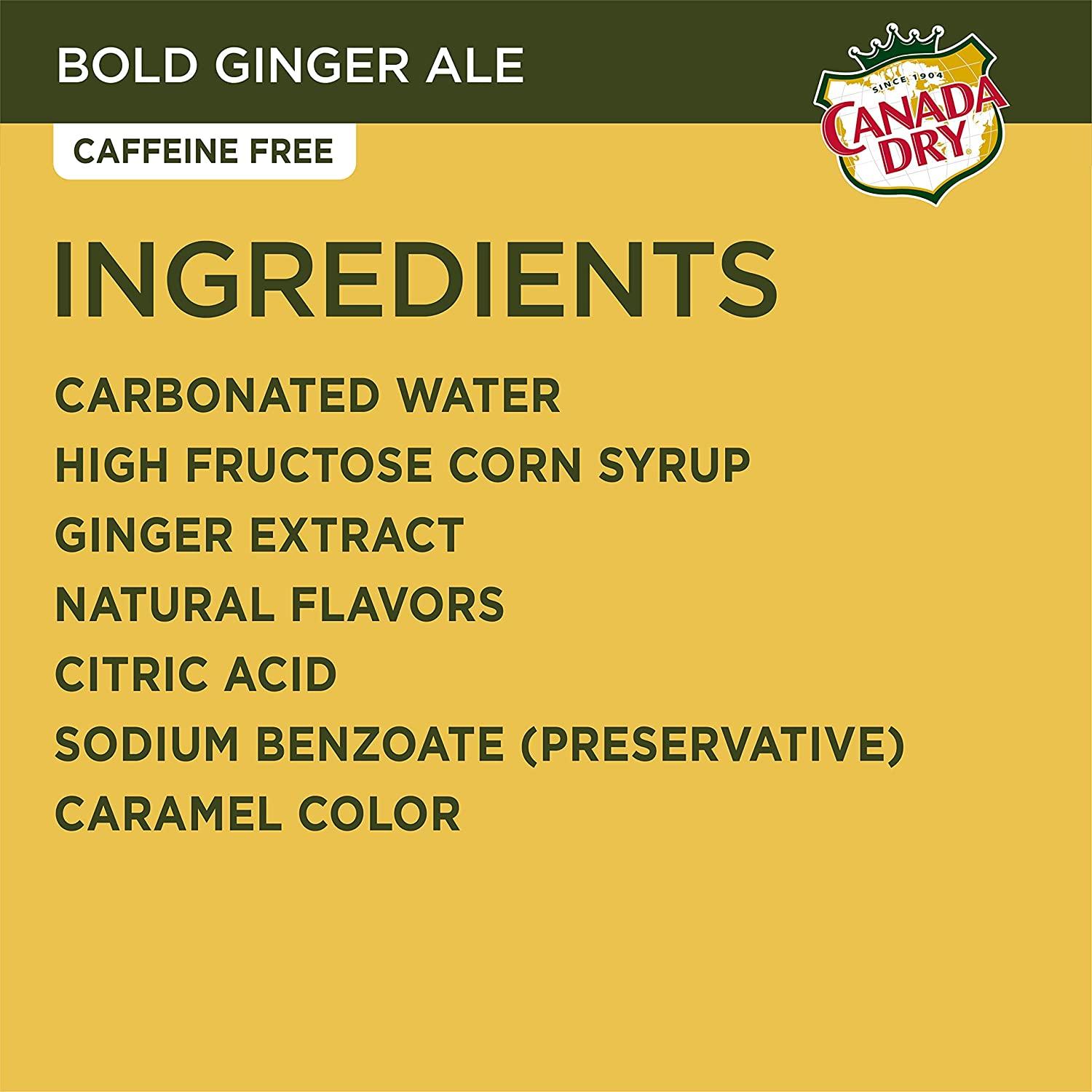 Canada Dry Bold Ginger Ale Mini Cans 7.5 fl oz - 6 Pack | Buy Now with ...