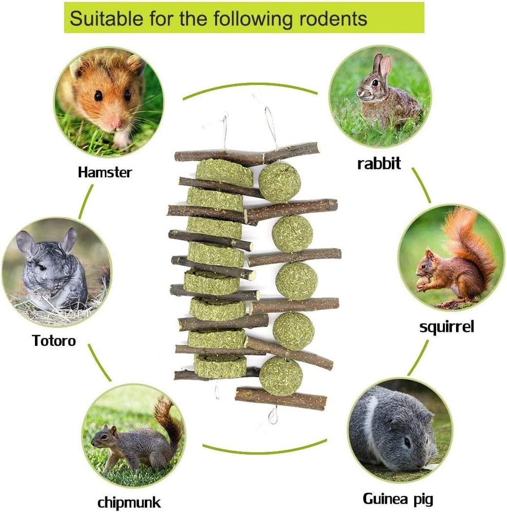 Organic Apple Sticks Bunny Chew Toys - 2 Pack | Ideal for Rabbits ...