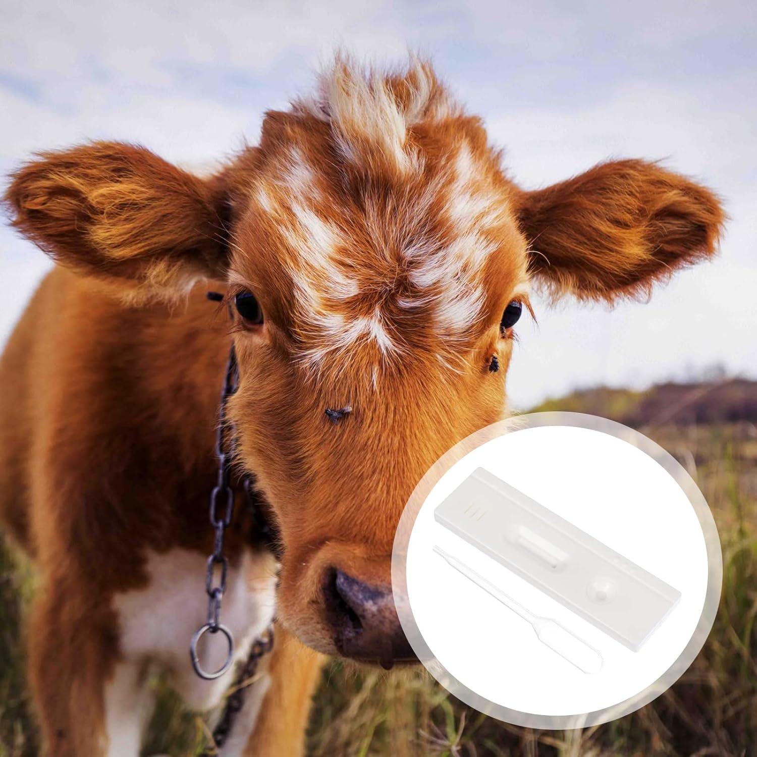 Buy 1pc Pregnant Tester for Livestock - Cow Pregnancy Test Strip ...