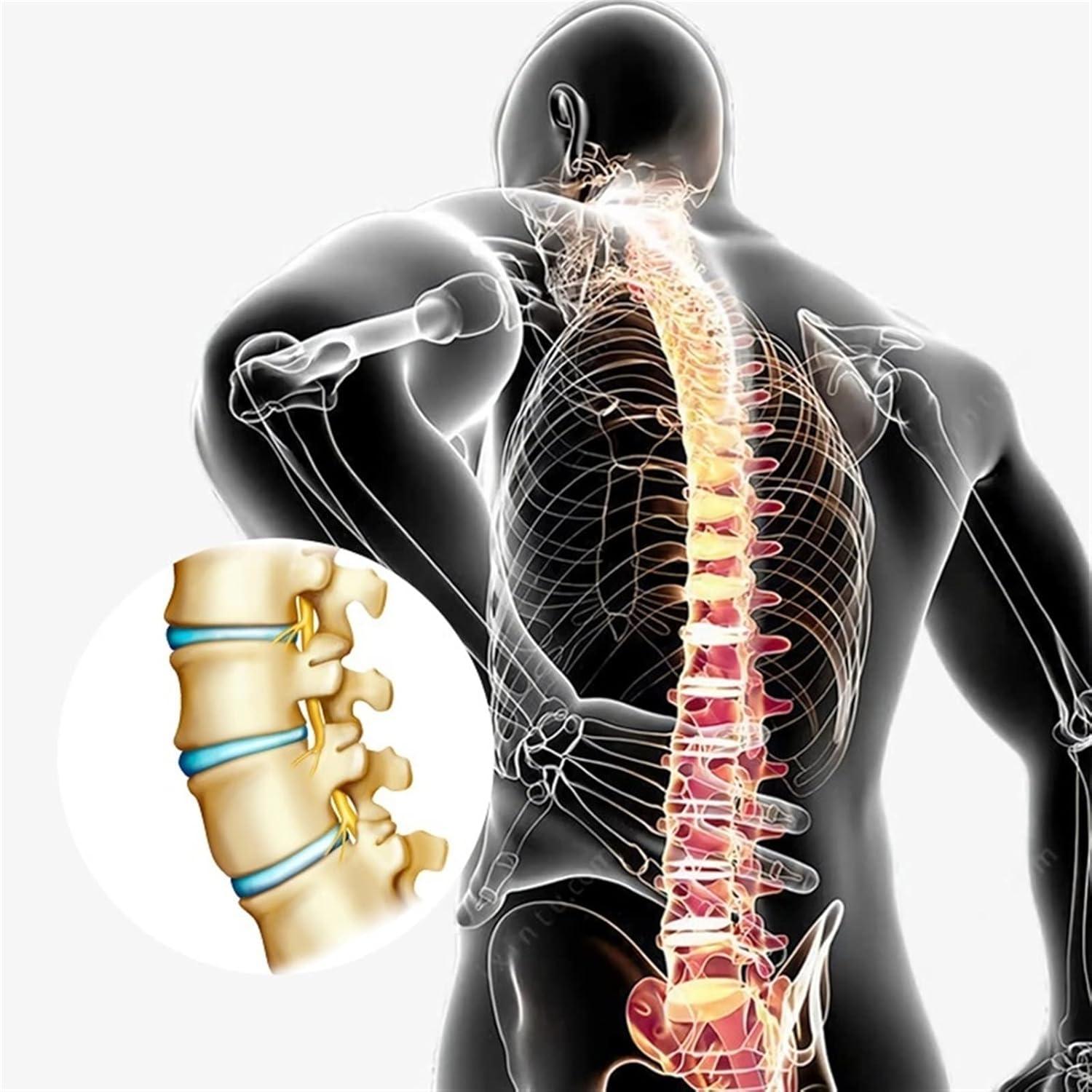 Alkani Decompression Belts - Relieve Lower Back Pain & Tension | Spine ...