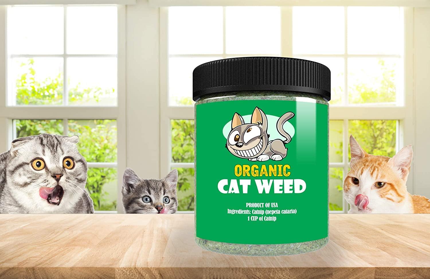 Maximum Potency Organic Catnip Blend Premium Cat Weed For Crazy Cat