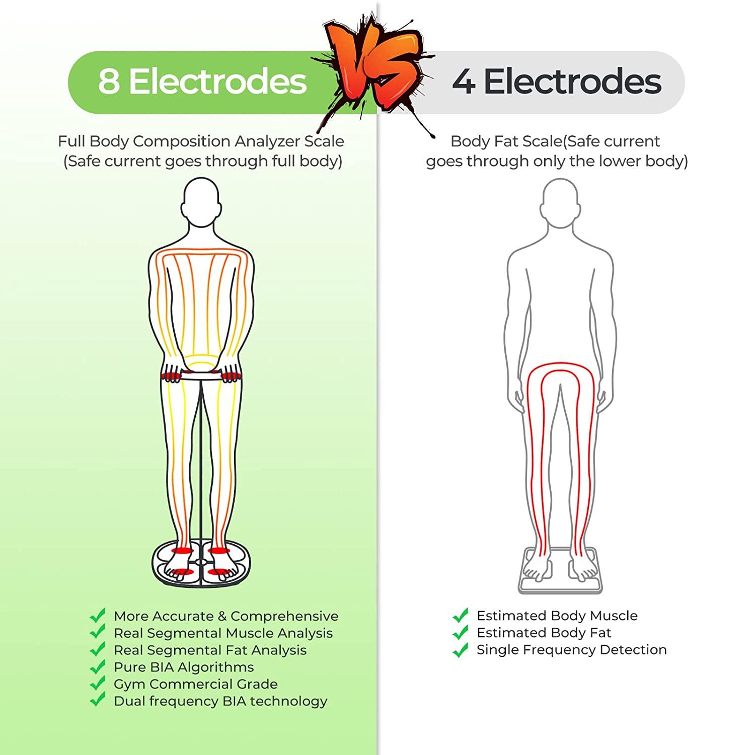 Sportneer Smart Full Body Composition Analyzer Scale - Rechargeable Dual Frequency BIA Monitor ...