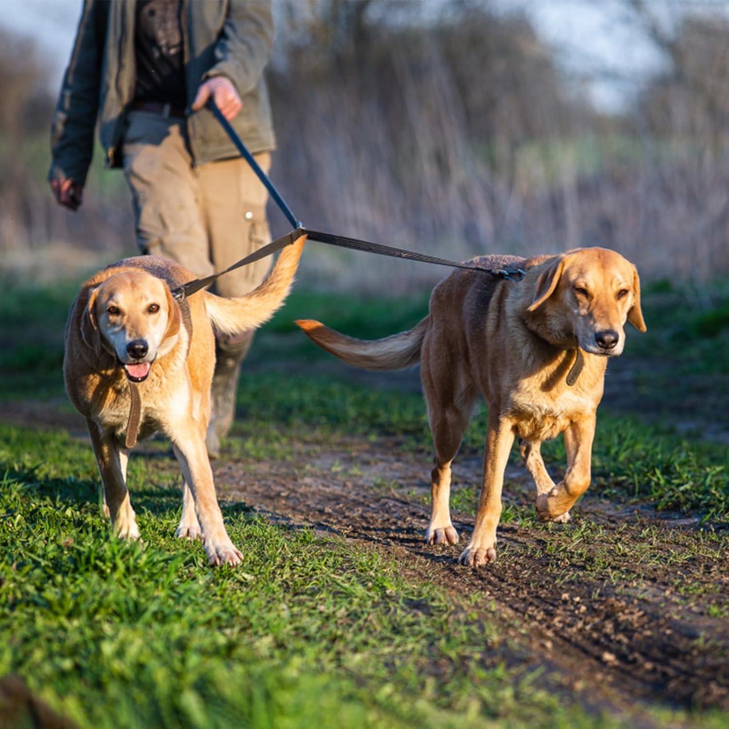 Double Dog Lead Double Ended Lead For Dogs Adjustable Double Lead For 2 ...