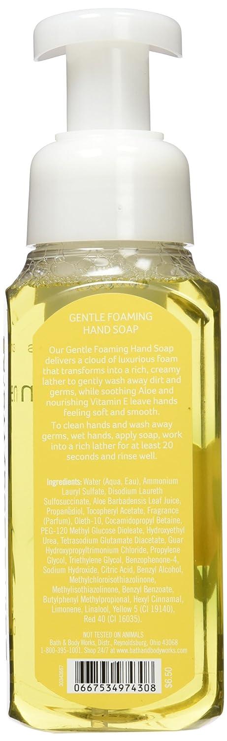Shop Bath & Body Works Kitchen Lemon Gentle Foaming Hand Soap ...