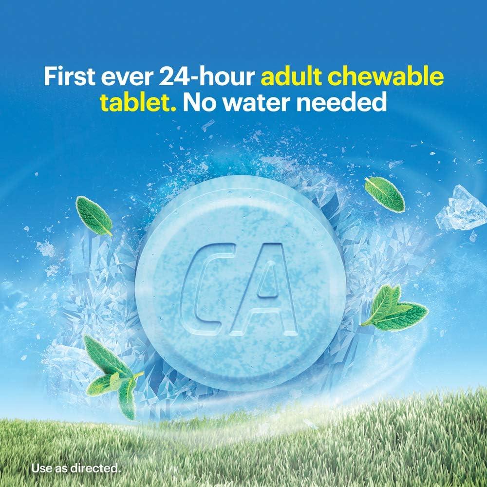 Claritin 24 Hour Chewable Cool Mint Flavored Tablets - 24 Count Pack ...