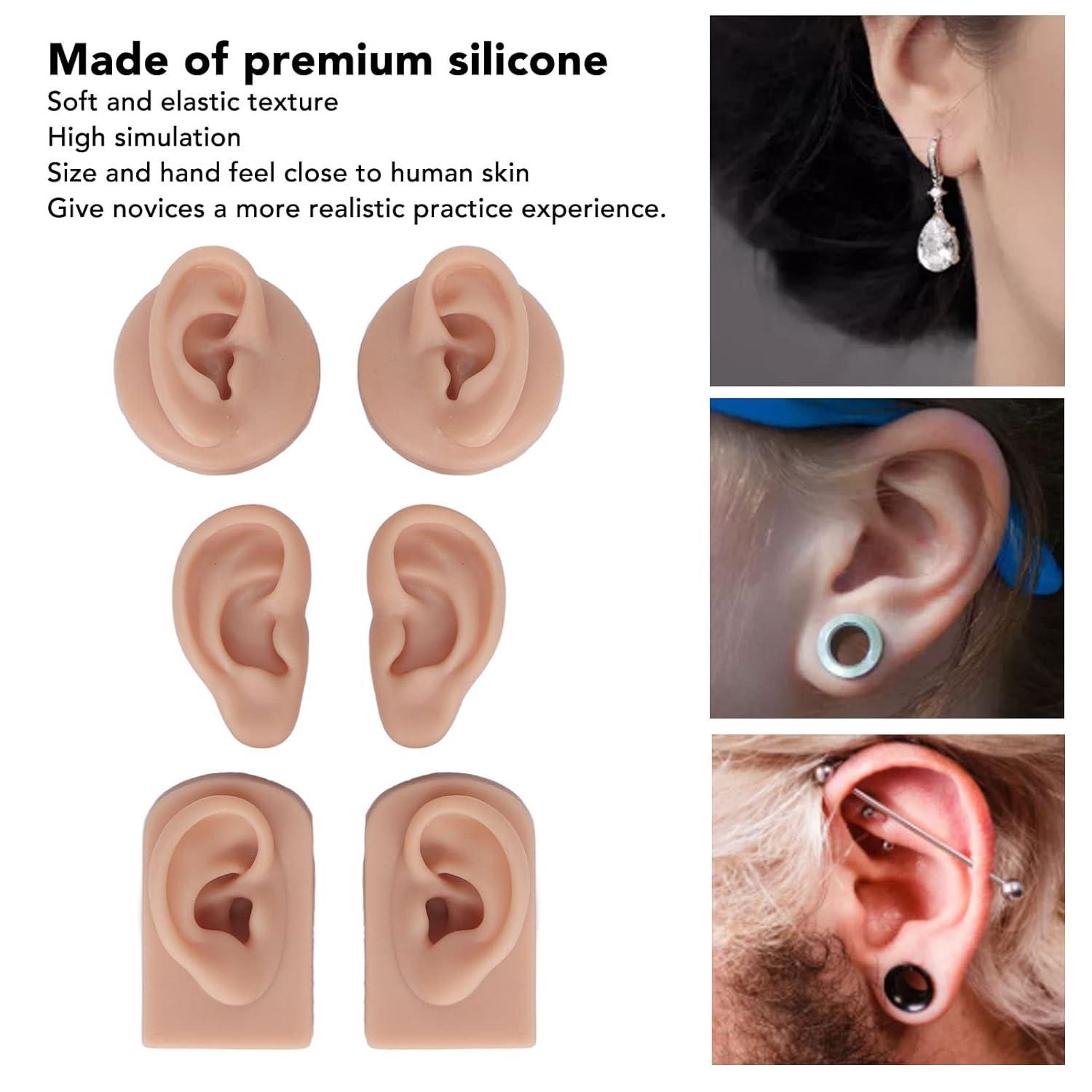 Soft Silicone Ear Models - 3 Pairs Flexible & Anatomically Correct for ...