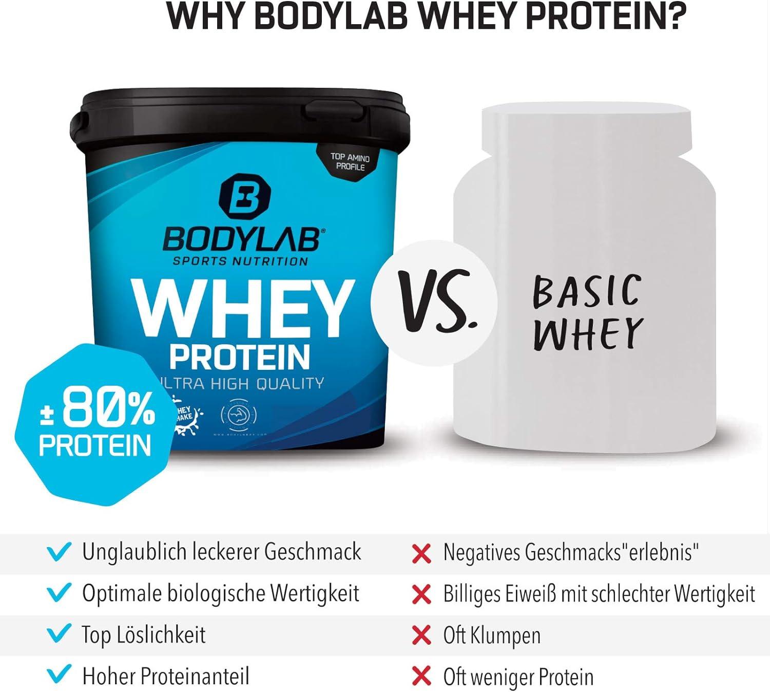 Bodylab24 Whey Protein Powder - Chocolate Coconut 1kg | Premium Quality ...