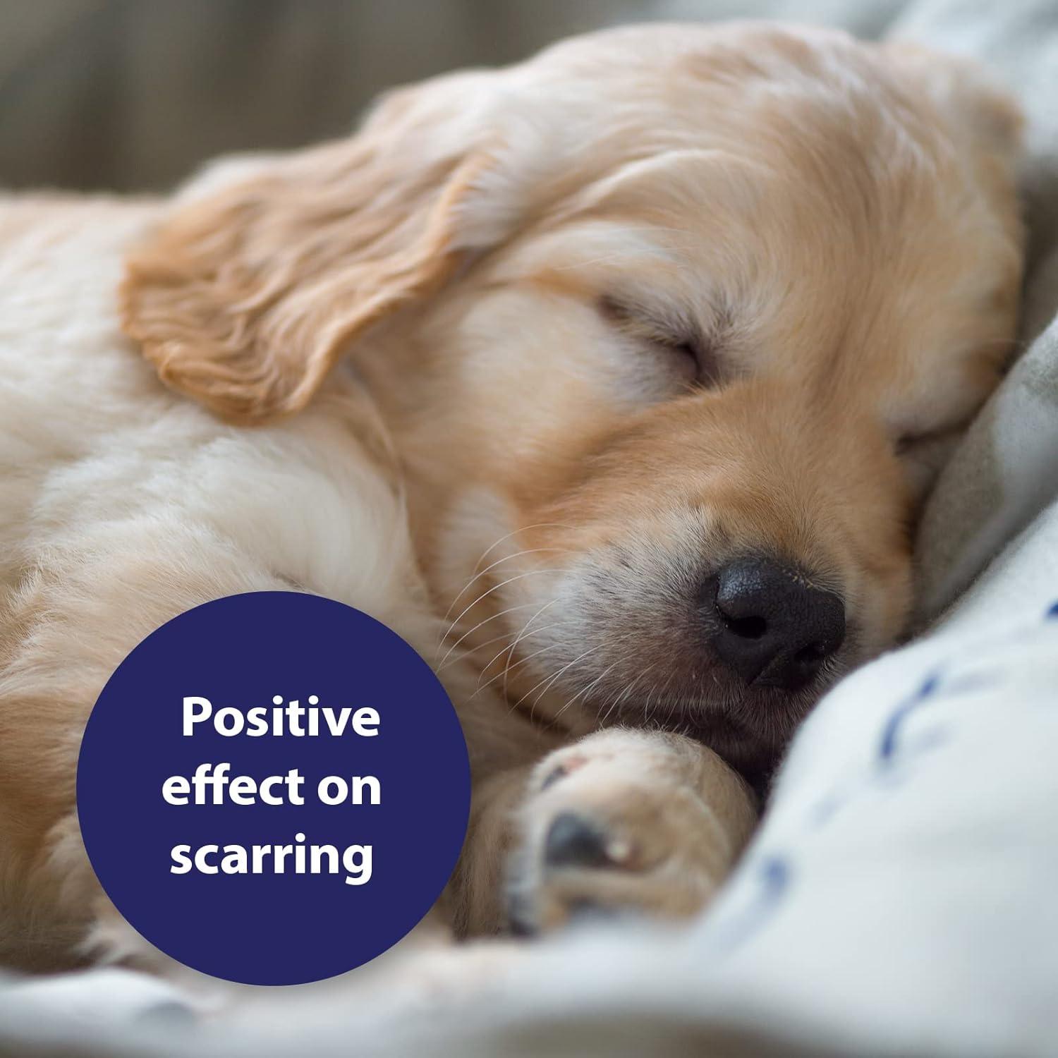 Canosept Wound Gel for Dogs 20ml - Wound ointment dog - Cleaning & care ...