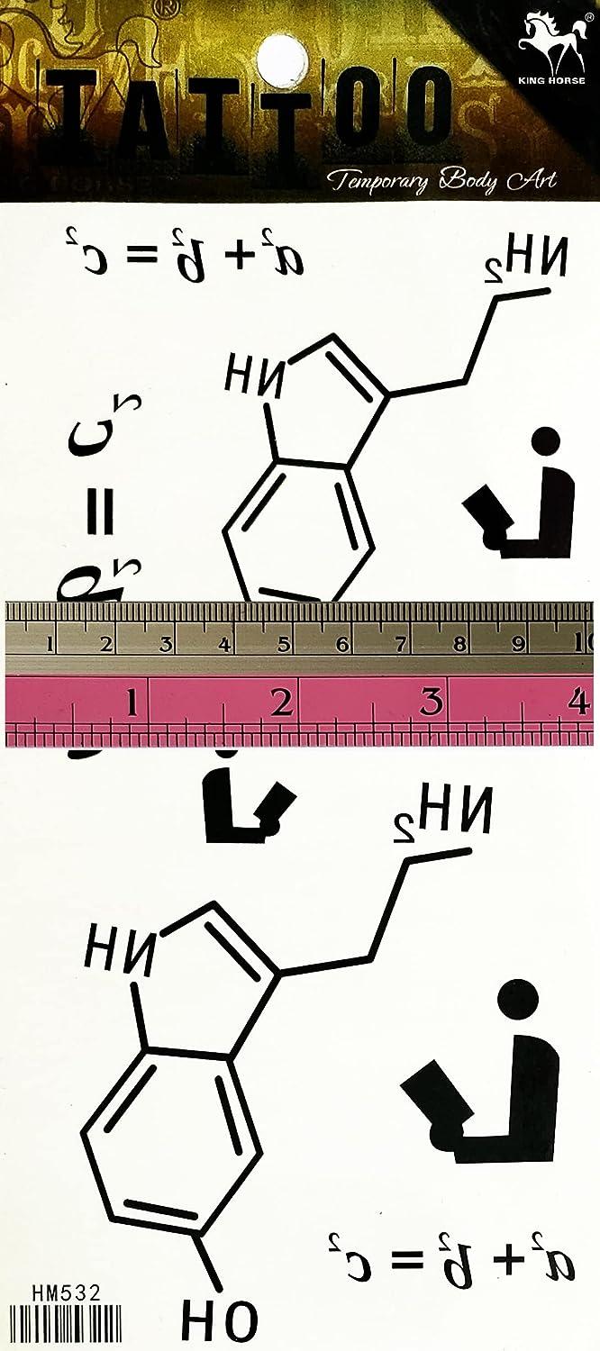 Math chemistry Molecule Temporary Tattoos Art Painting 3D Tattoo Makeup ...