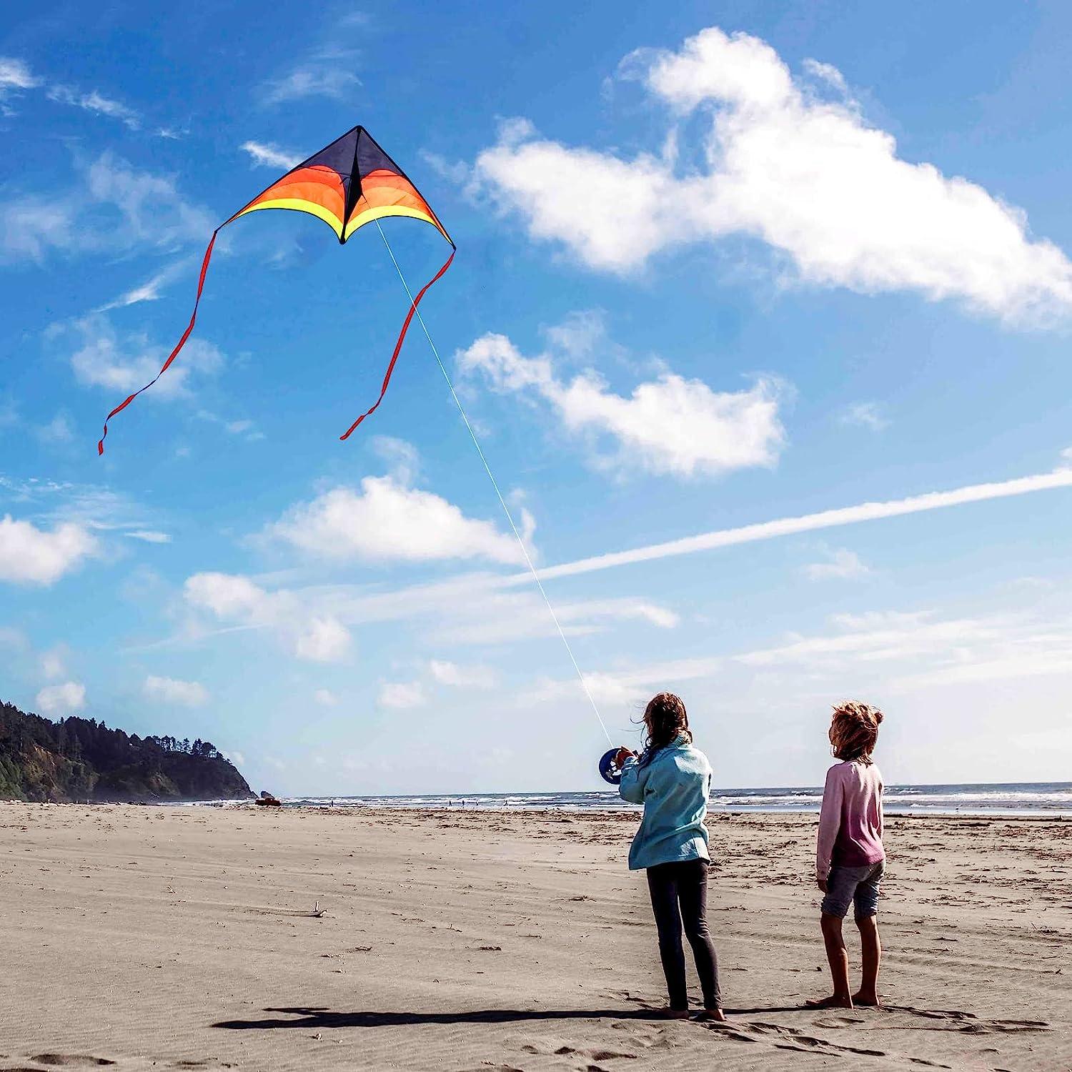 Kaiciuss Delta Kite for Kids & Adults - Easy-to-Fly Large Single Line ...