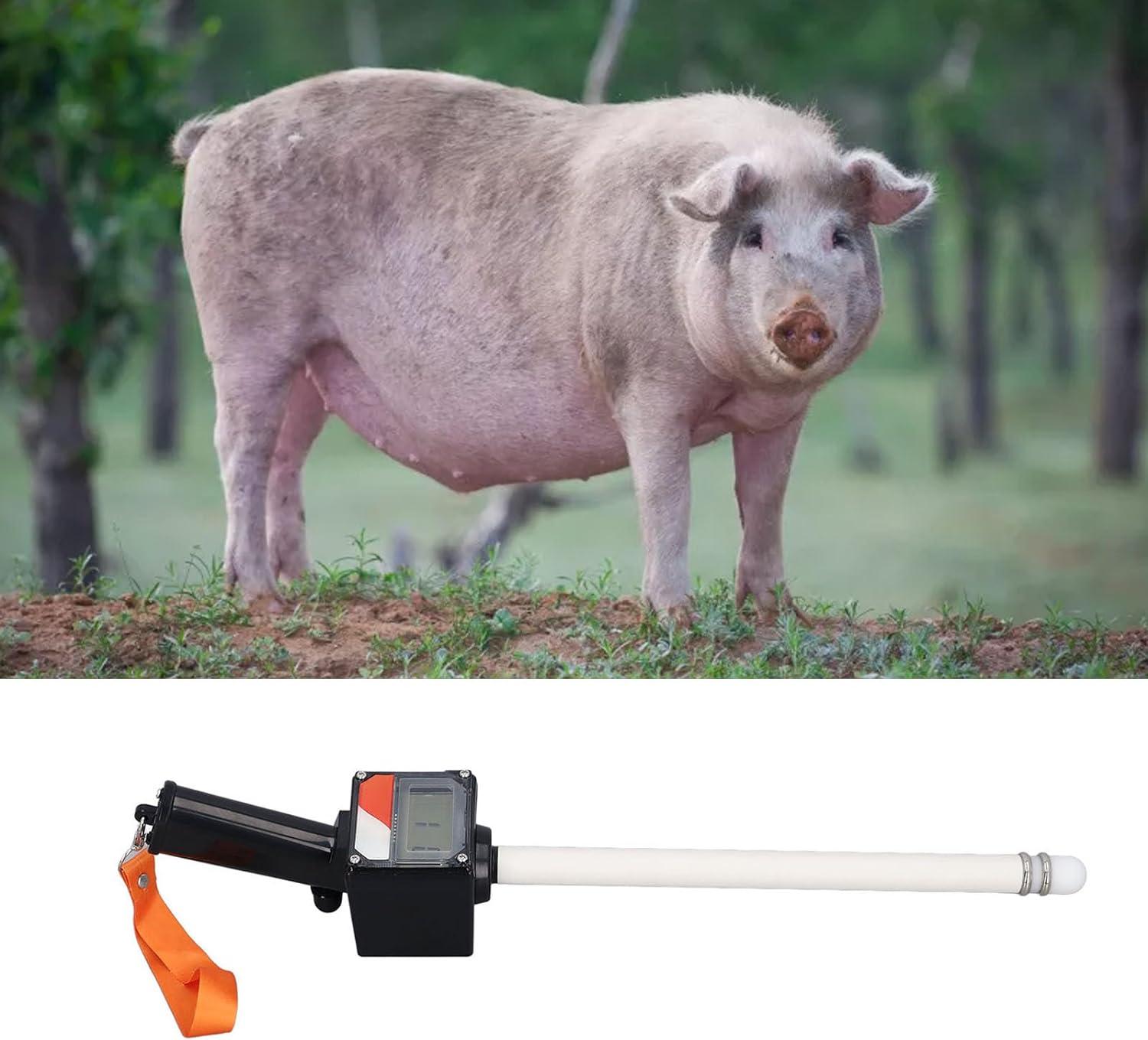Pig Ovulation Detector Non Destructive Detection Digital Display - Accurate and Reliable Sow ...