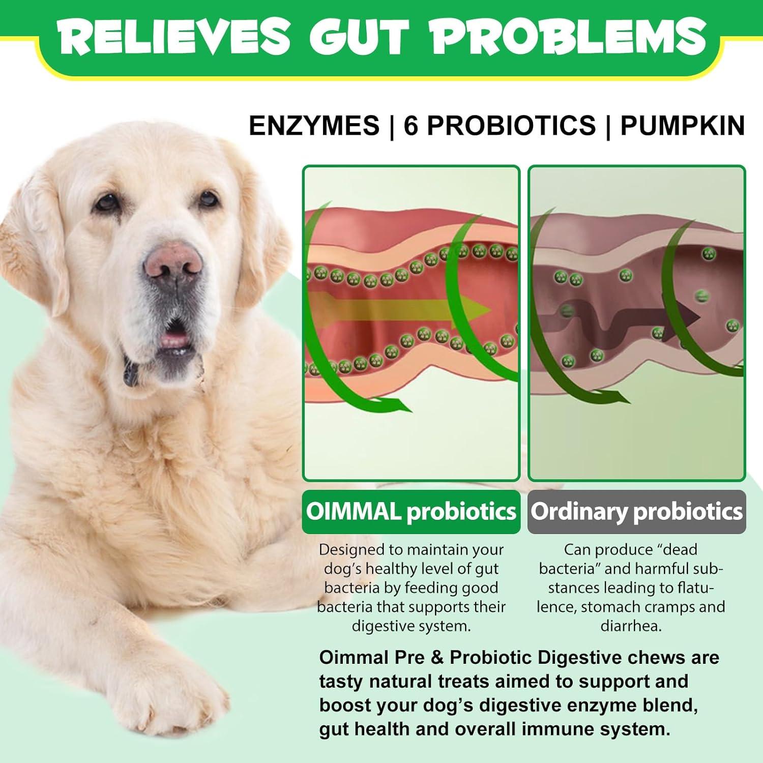 Probiotics for Dogs Dog Digestive Health Gut 30 Probiotic Chews with Digestive Enzymes for ...