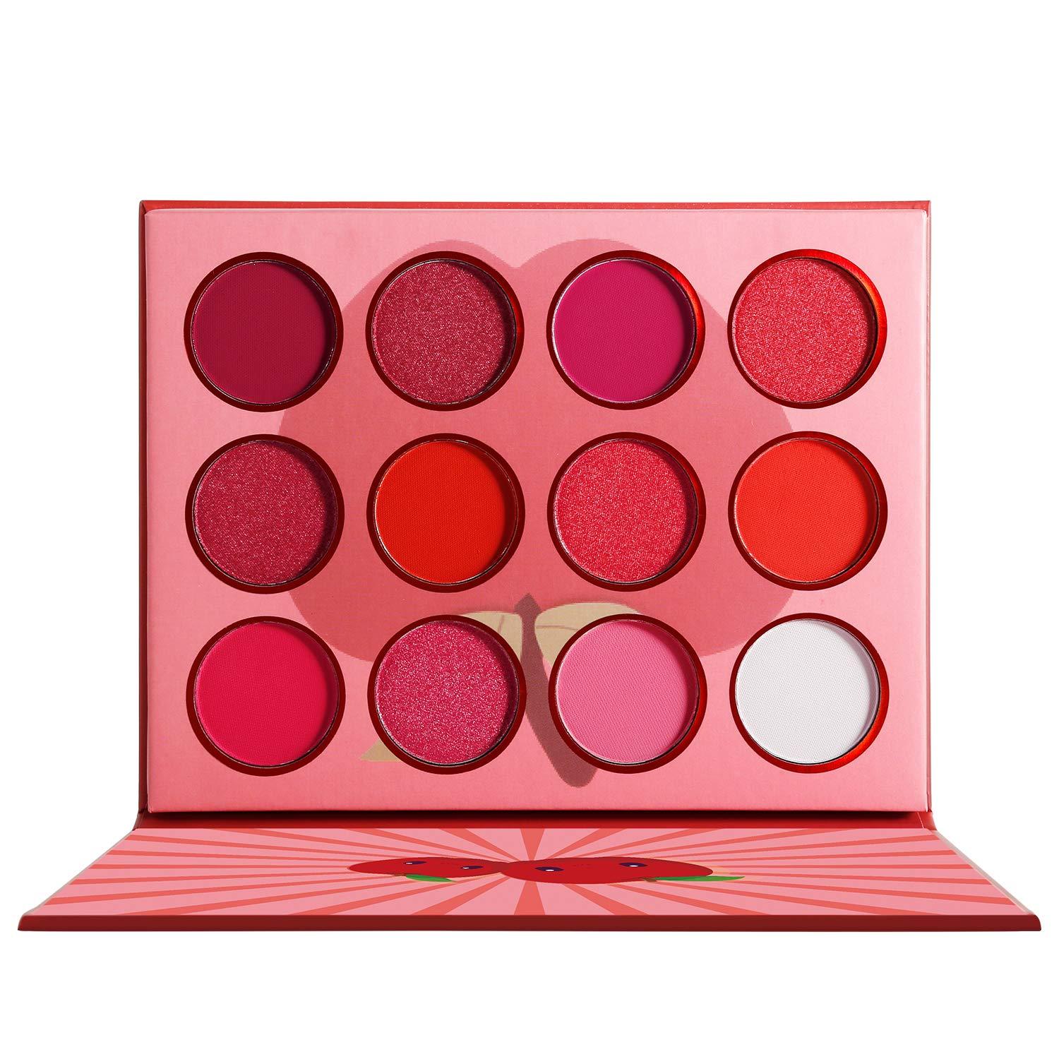 DELANCI Red Pink Eyeshadow Palette - 12 Color Professional Matte ...