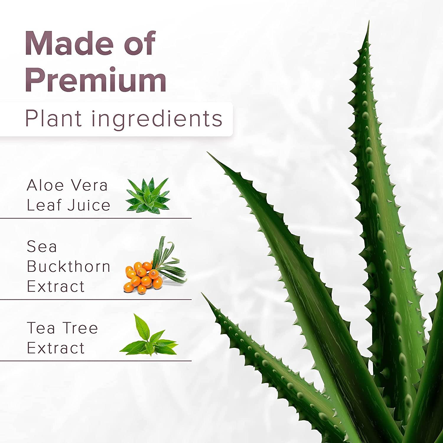 Dr. Schavit FEMOXIL Vaginal Suppositories - Natural Plant-Based Formula ...