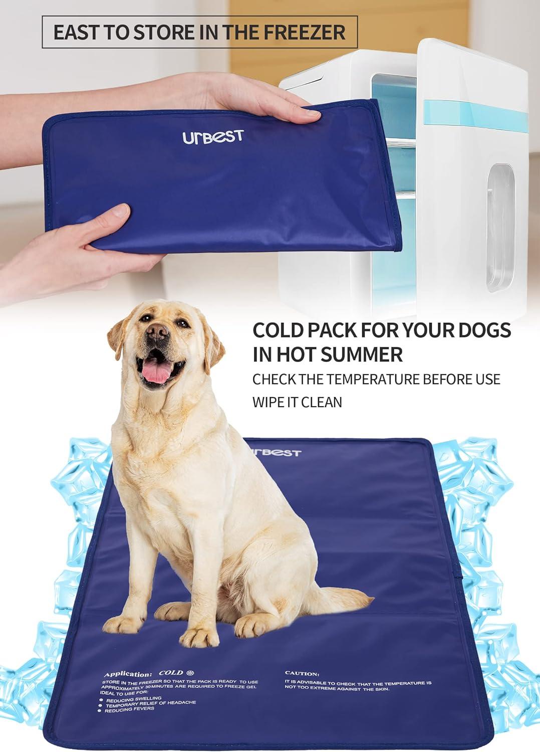cold dog ice pack