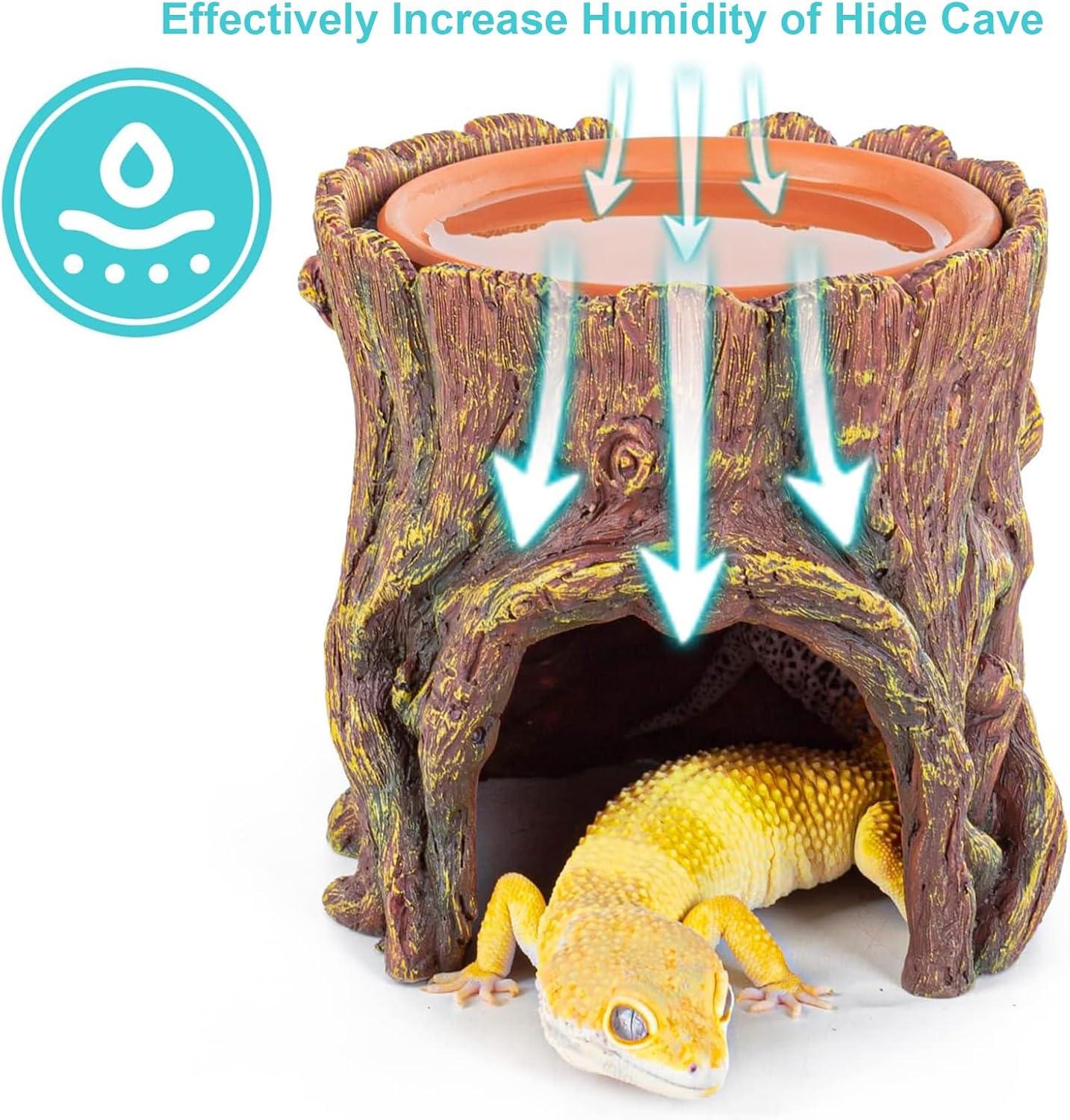 charterhouse reptiles