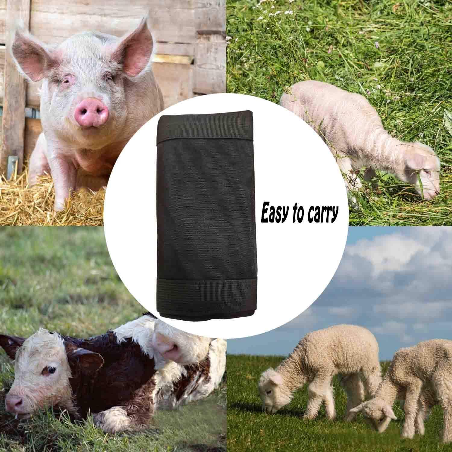 GA Braden Calf Sling for Small Animals Livestock Weighing - Hang Scale ...