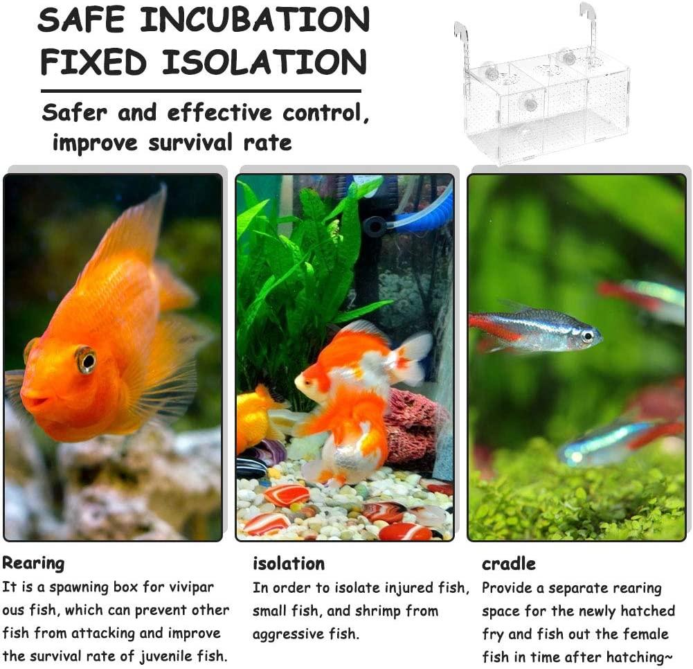 ATPWONZ Fish Breeding Box - Acrylic Isolation Aquarium Hatchery for Fry ...