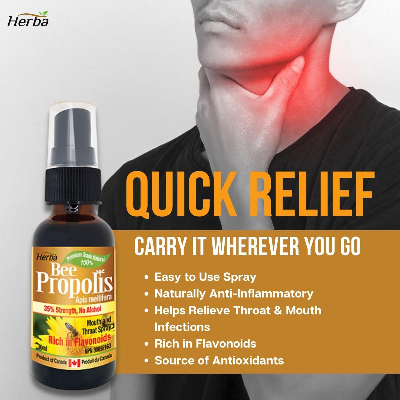 Herba Bee Propolis Throat Spray 30ml - No Alcohol | Helps Relieve Sore ...