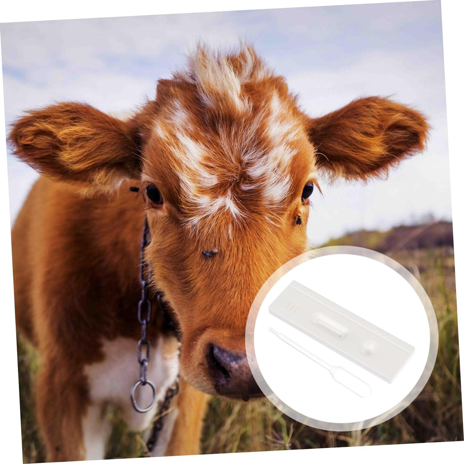 minkissy 3 Pcs Pregnant Tester Cattle High Precision Strips Pumpkin ...