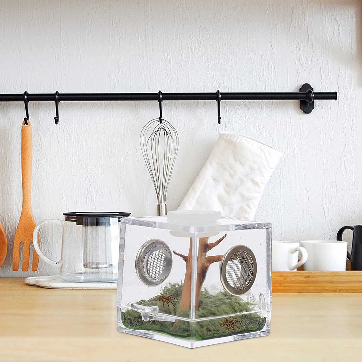 NUOBESTY 2 Set Spider & Snail Terrarium Kit | Acrylic Critter Keeper ...