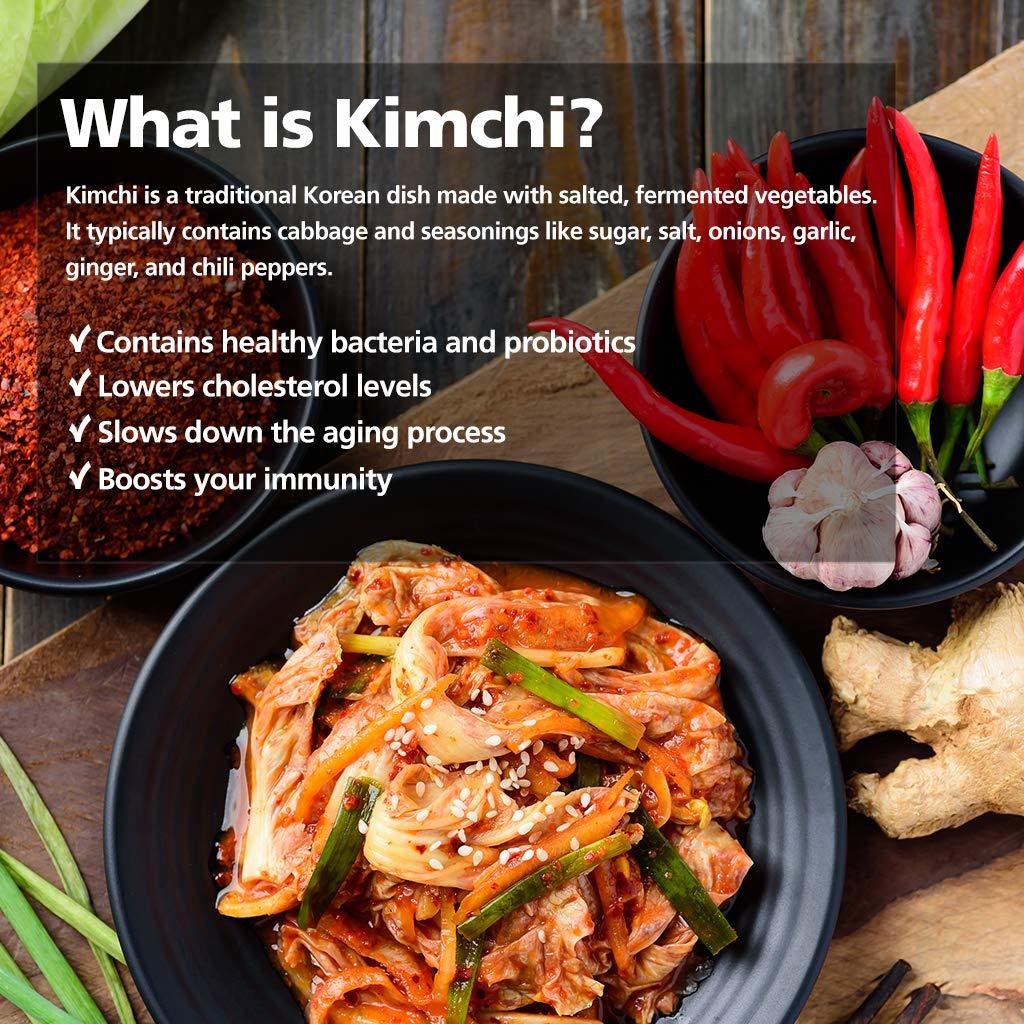 SEOUL SISTERS Korean Kimchi Powder Seasoning Mix - Spicy 3.5 oz (100g ...