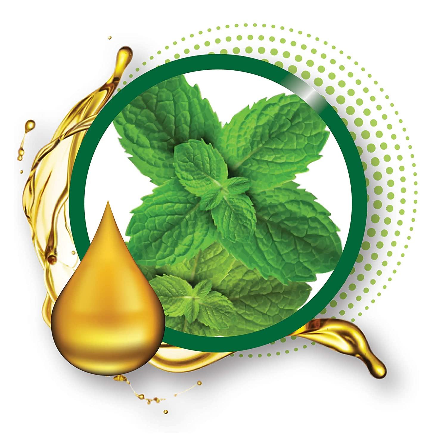 Ruby Kisses Hydrating Lip Oil & Broadway Vita-Lip Clear Lip Gloss (4 ...