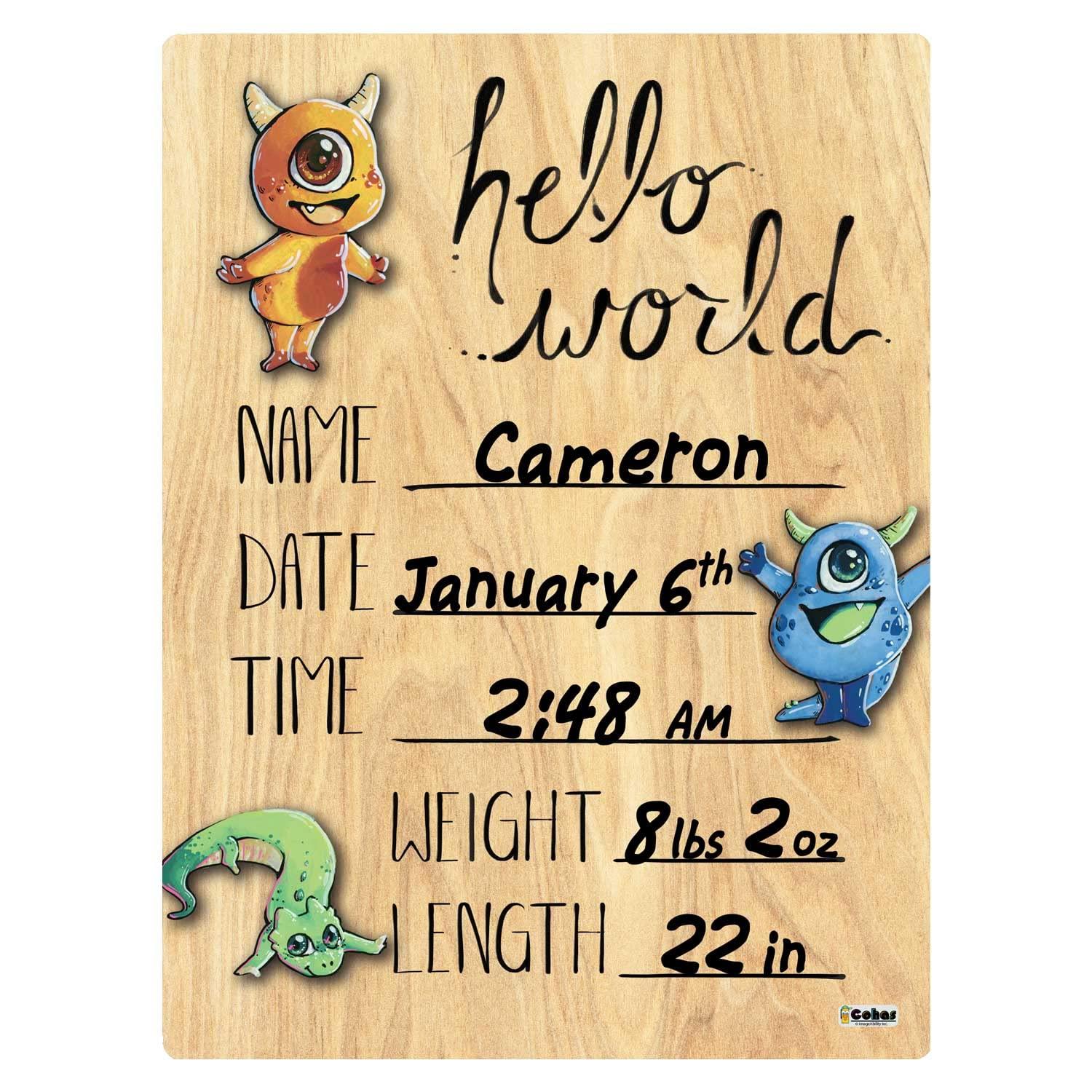 Cohas Hello World Newborn Baby Announcement Wood Sign with Monster ...