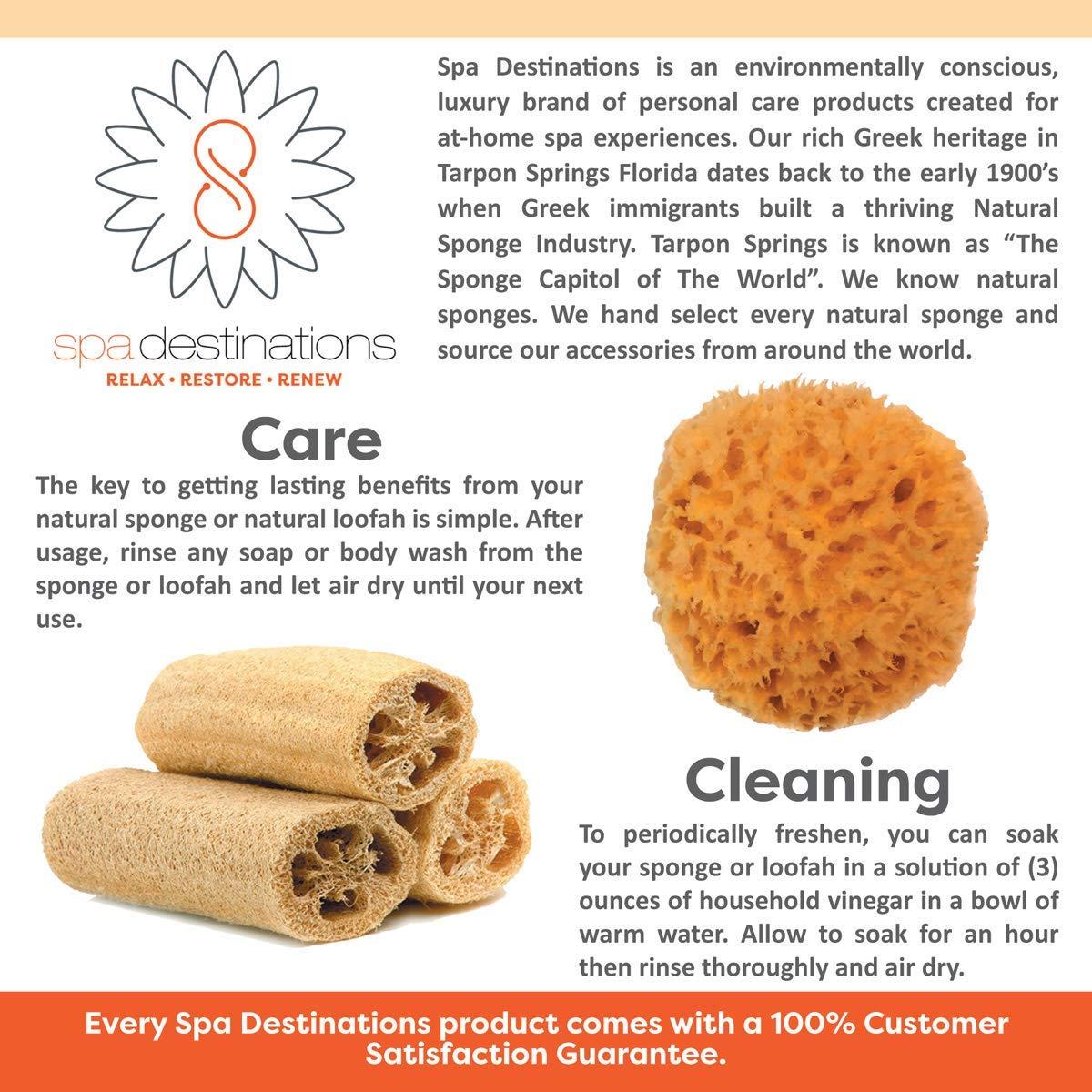 Natural Sea Wool Sponge 4-5 by Spa Destinations | Eco-Friendly Bath and ...