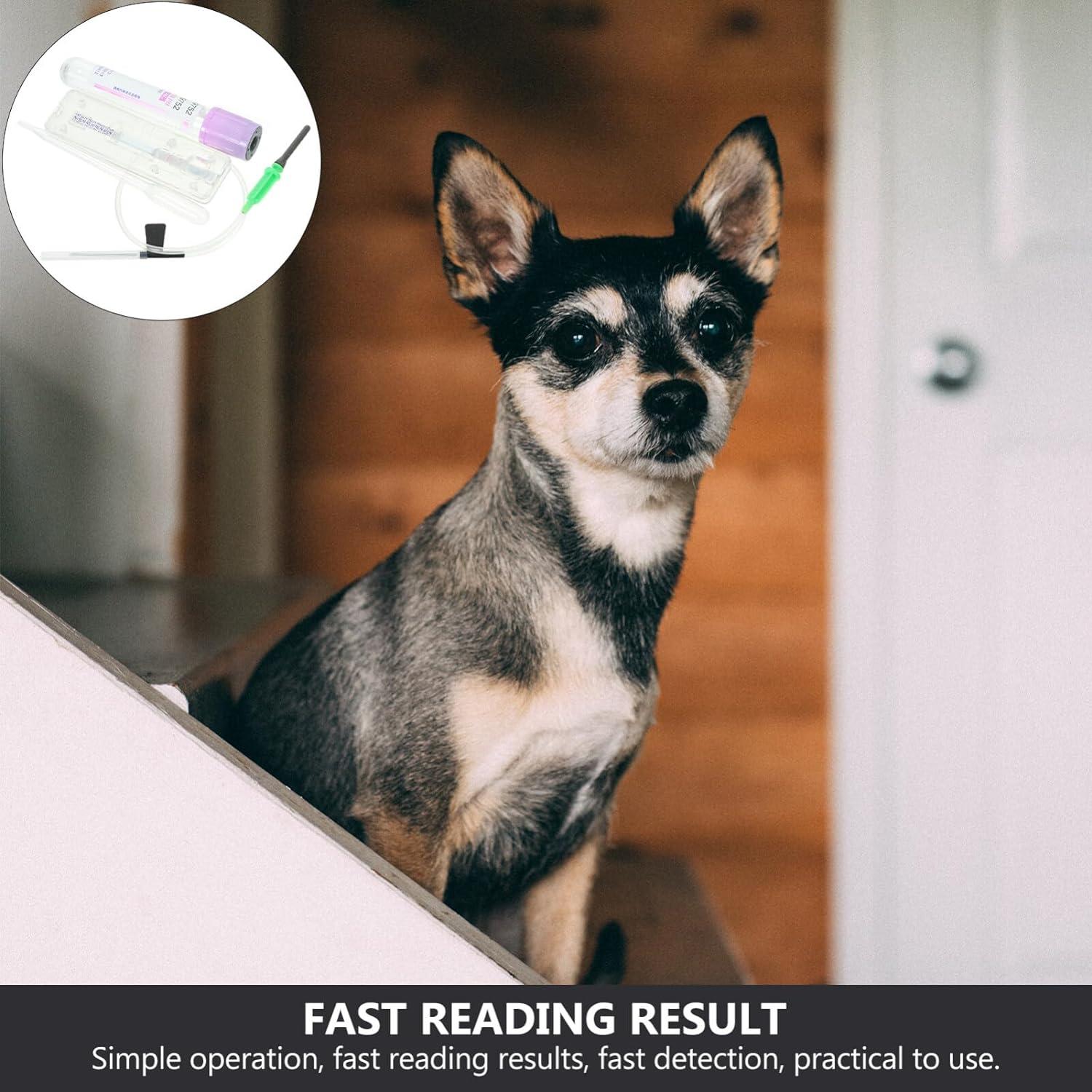 Yardwe Dog Pregnancy Test Kit | Rapid Relaxin Canine Pregnancy Test ...